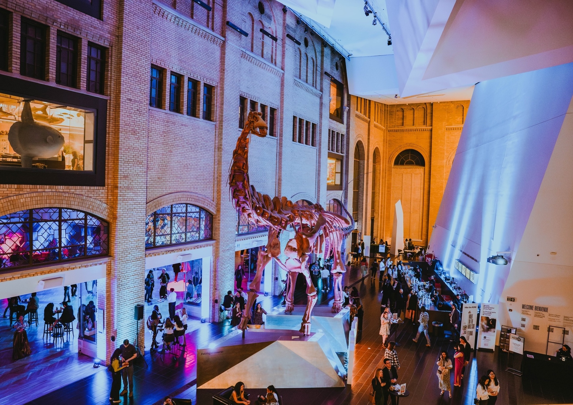 Le ROM de nuit | Royal Ontario Museum